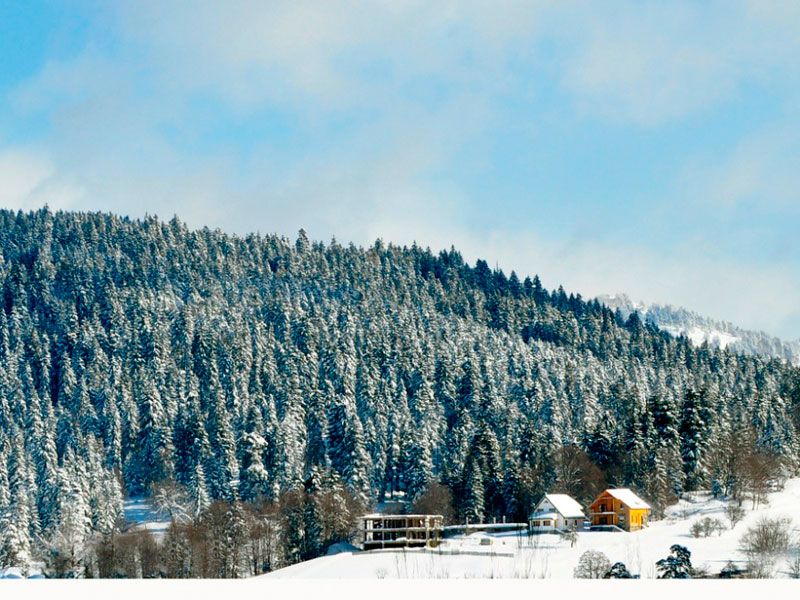 Holiday in Bakuriani